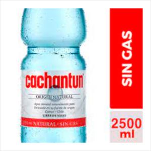 Cachantun 2 5l Sin Gas Supermercado La Herradura